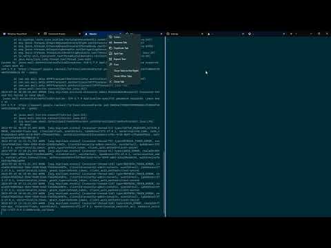 windows terminal: double click selection
