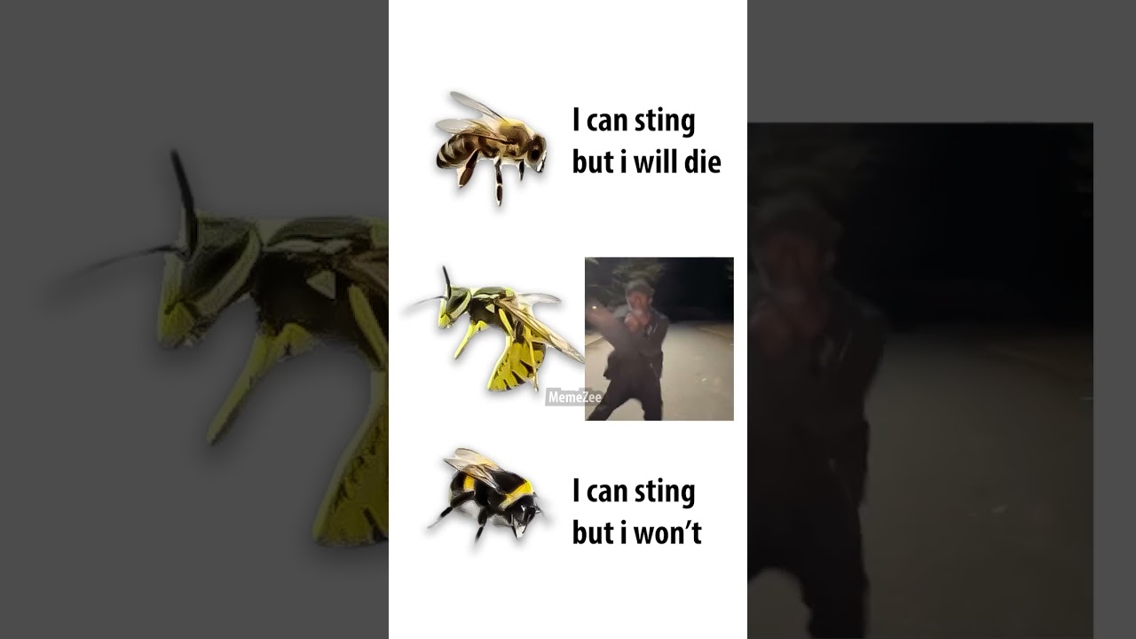 bee