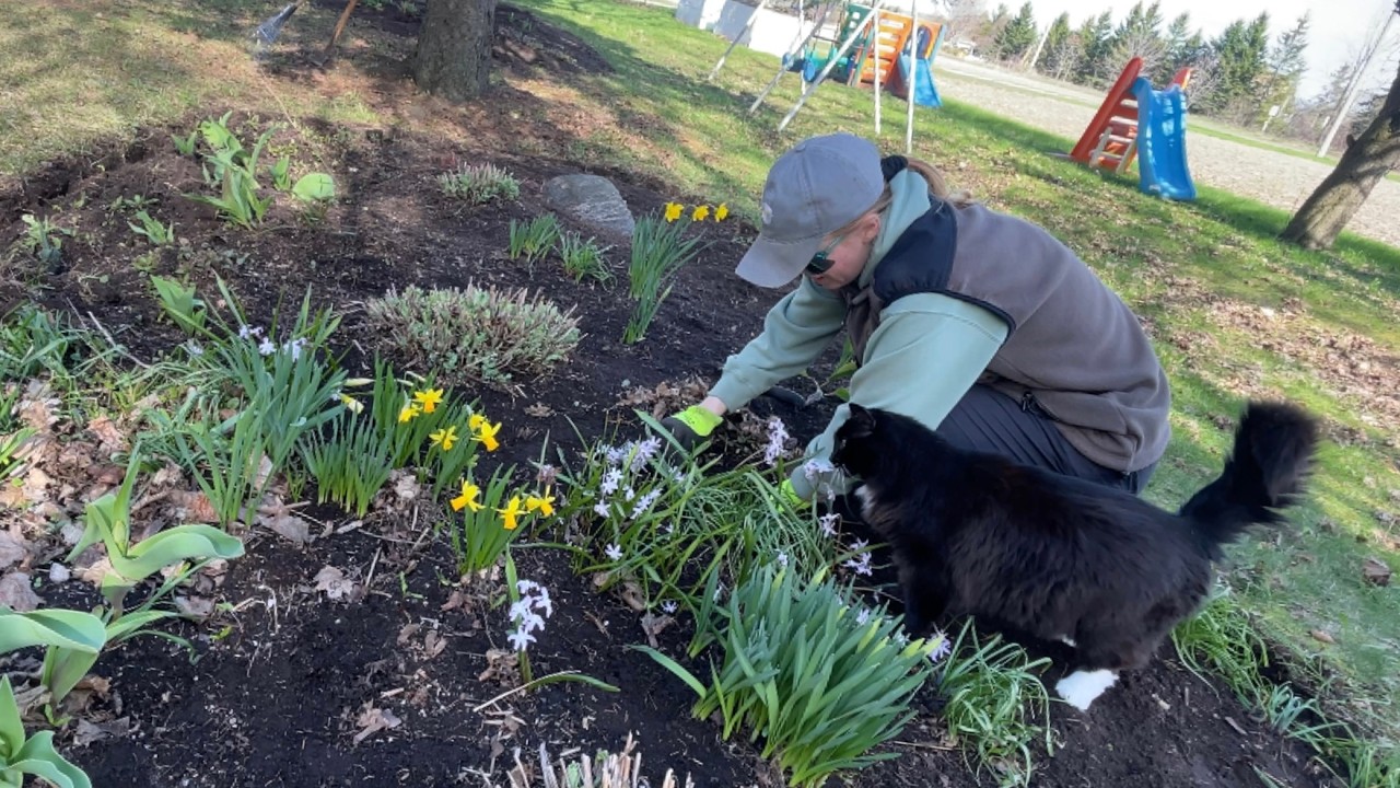 SPRING CLEANUP IN THE GARDENS (First day back for the 2026 Season)