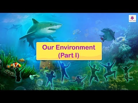 Our Environment Video Lecture - Science Olympiad Class 4