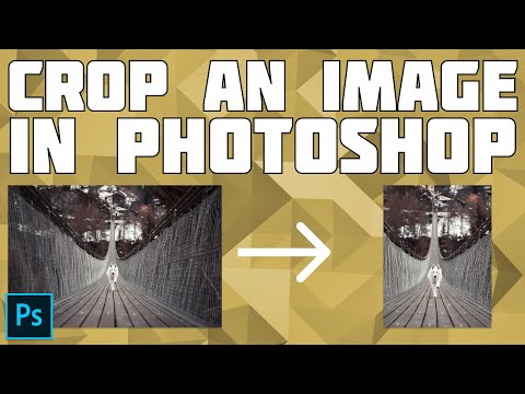 How to Crop an Image in Adobe Photoshop! - Crop Images in Photoshop!
