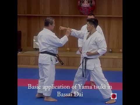 Bassai Dai-Yama Tsuki basic application, Kagawa Sensei JKS #karatebasics #karate