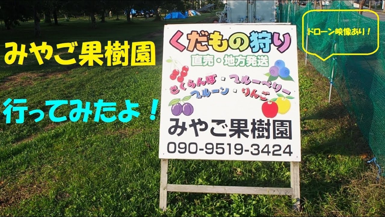 みやご果樹園行ってみたよ！北海道函館（令和元年）（ドローン空撮あり）  #みやご果樹園 #北海道 #函館 #西洋リンゴ#函館移住クラブ #北海道ドローン #函館ドローン