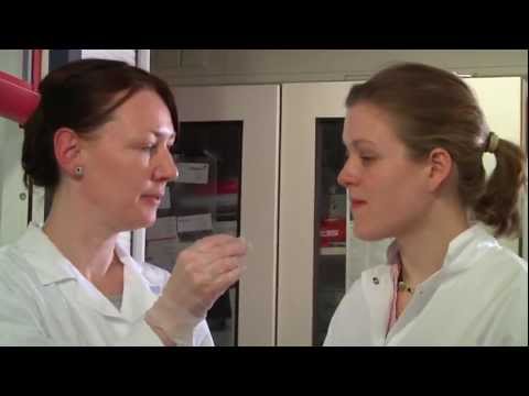Jenny asks: How does the PCR method work?