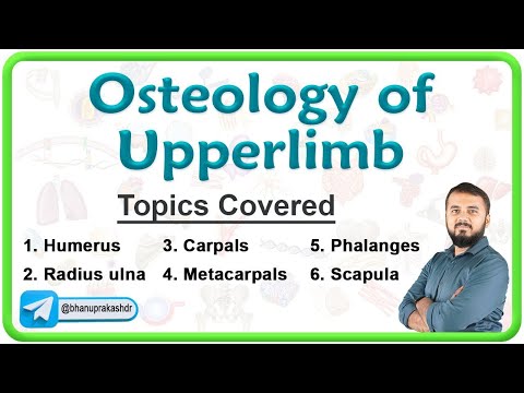 🦴 Oestology Of Upper Limb : Anatomy Lecture series 🎓🔍🕵️♂️