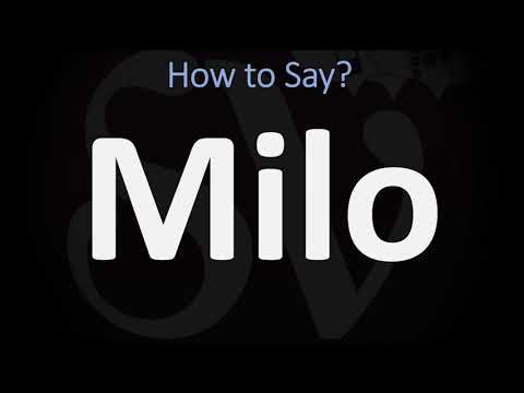 How to Pronounce Milo? (CORRECTLY)