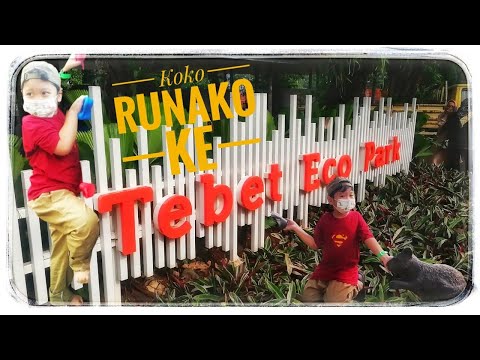Tebet eco park taman viral saat ini gratis dan banyak mainannya