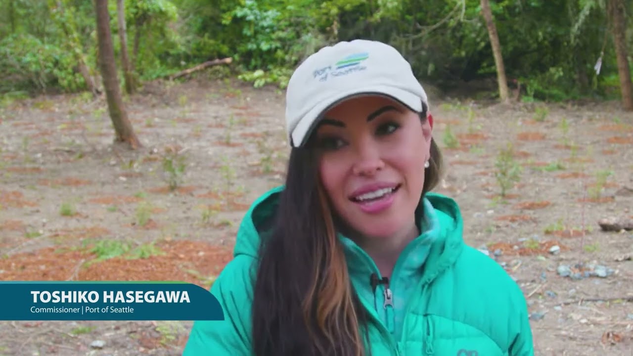 Sustaining and Protecting Urban Forests  Environmental Land Stewardship Principles