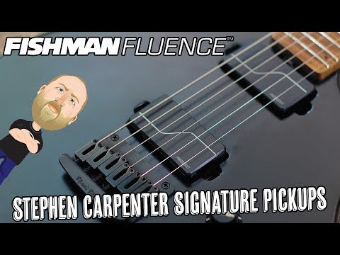 Fishman Stephen Carpenter Signature (Rare) 6-String Set Black | Reverb