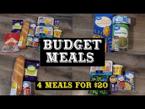 Budget meals 4 meals for $20. cheap affordable quick easy dinner ideas $5 meals