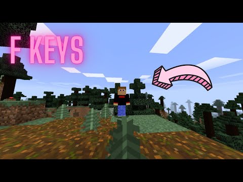F Keys for Minecraft on mac (tutorial)