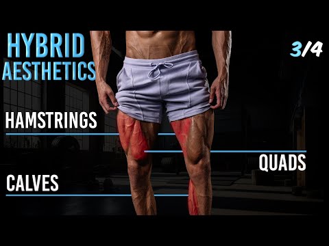 My Full LEG Workout For MUSCLE DEFINITION & GROWTH