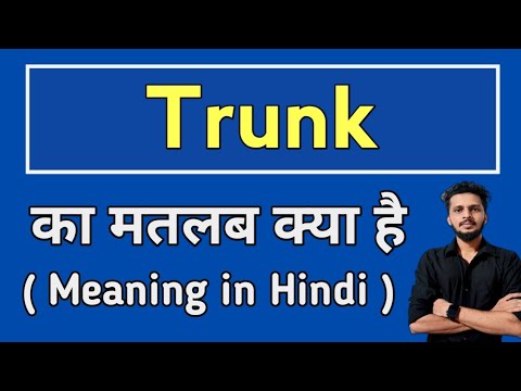 Trunk Meaning in Hindi | Trunk ka kya matlab hota hai #trunk