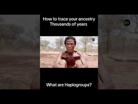 What are Haplogroups? #anthropology #ancestrydna #biology #haplogroup #r1a #dna #ancienthistory