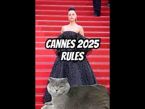 Cannes 2025 rules , cat reports