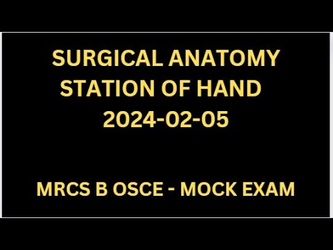 SURGICAL ANATOMY STATION OF HAND