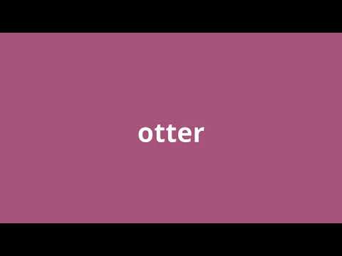 what is the meaning of otter
