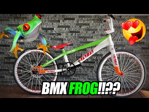 FROG INSPIRED BMX BIKE?! 4NIX Atome Expert