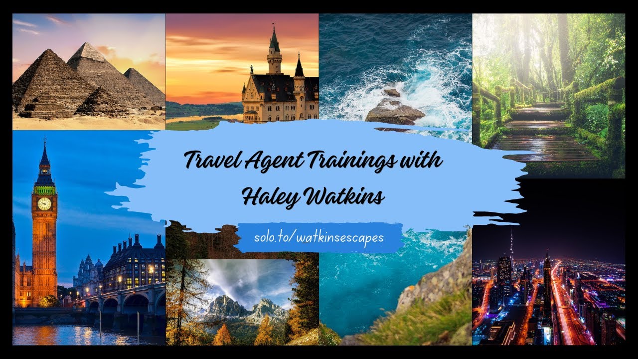 Link Fusion: Solo.to vs Linktree