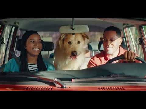 Skyla Credit Union - Welcome Home