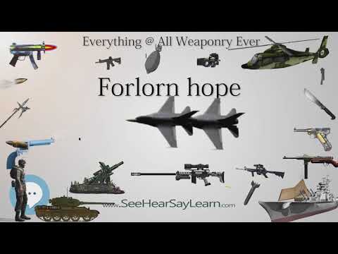 Forlorn hope (Everything WEAPONRY)๐ฌโ๏ธ๐น๐ก๐คบ๐๐โ