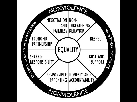 Understanding Georgia's Family Violence Intervention Program