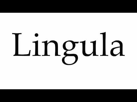 How to Pronounce Lingula