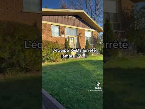 Porte à porte🚪🔍🏡 #courtierimmobilier #shortsvideo #shorts #immobilier #neverenough #remax