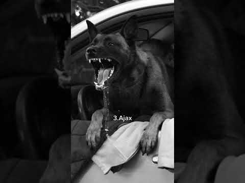 Badass Dog Names #Shorts