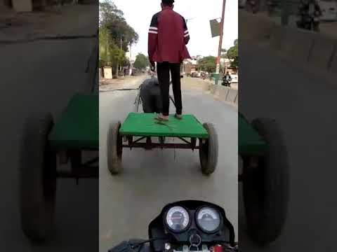Unna Katada Vishu baliyan Katai Jhar Bhaga (Rasoolpur Jatan)