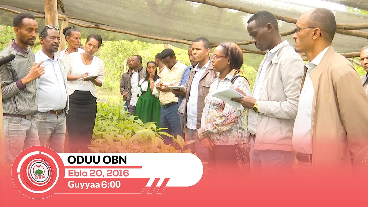 OBN Oduu Dilbata Guyyaa 20/08/16