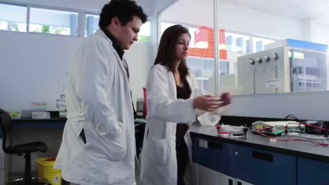 BIOSINT_Mexico iGEM 2014: Green demon!