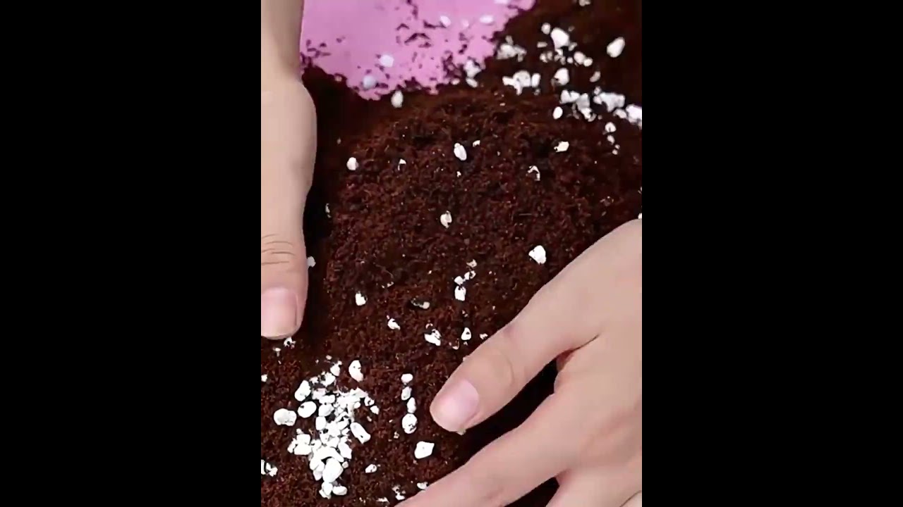 Cheap White Expanded Horticulture Perlite for Plants #perlite #manufacturer #gardening