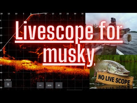 GARMIN LIVESCOPE LVS34 FOR MUSKY
