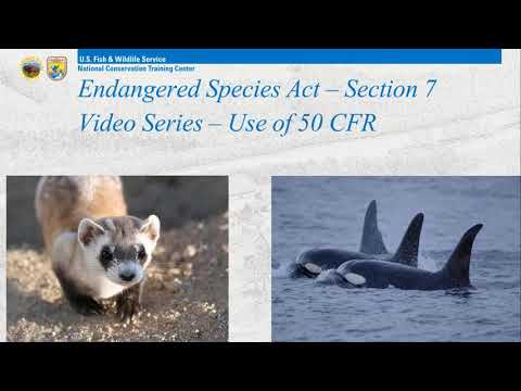 6 - Use of 50 CFR