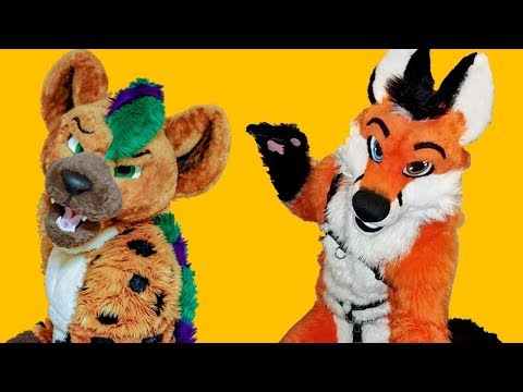 FURRY QUESTIONS with Anders The Fox!