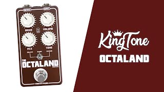 King Tone Octaland Mini V1 - What To Know & Where To Buy | Equipboard