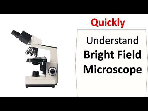 Light Microscope at Best Price in India