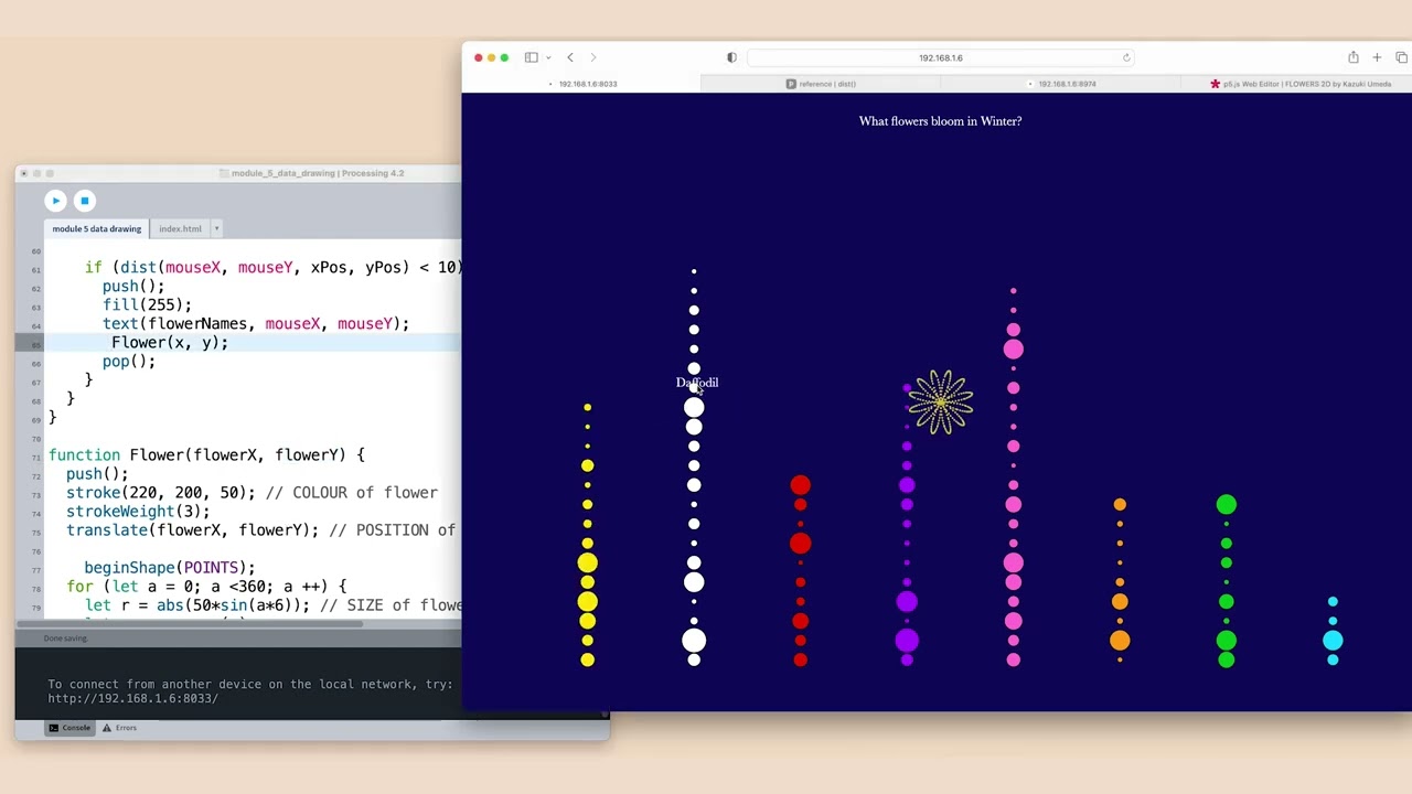 5.14 Drawing Data in p5.js | Custom Functions & Objects
