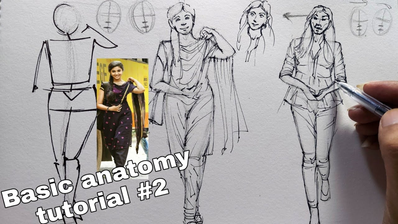 Basic Anatomy Tutorial/part #2