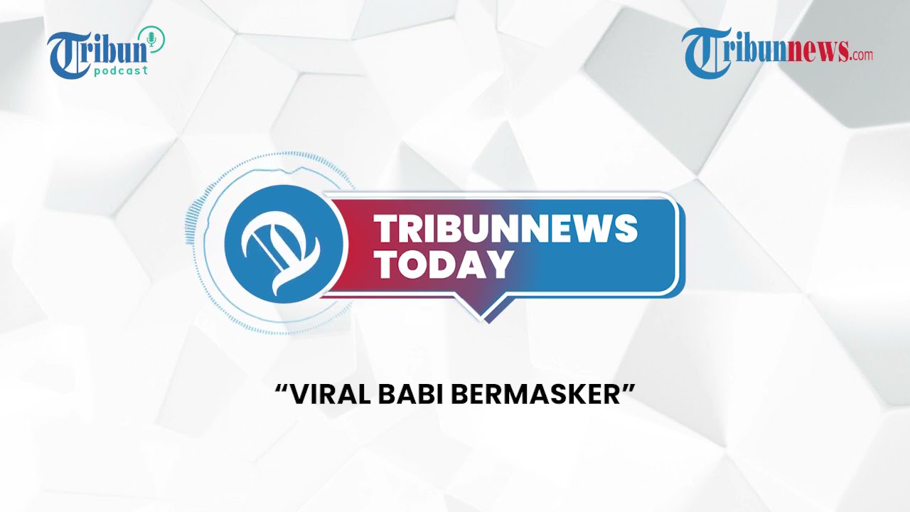 Viral Babi Tidur Bermasker, THR Emas Batangan Angel Lelga hingga ...
