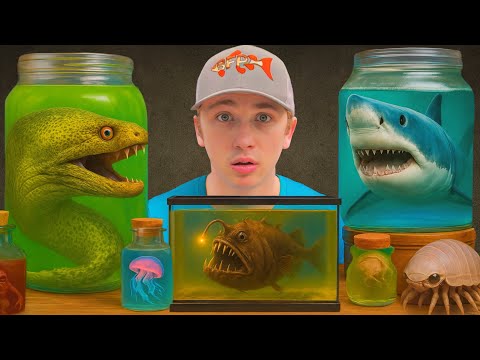 I Found The Deadliest Sea Creatures On The Dark Web!