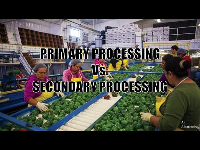 Understanding Primary and Secondary Processing: The Journey from Raw ...
