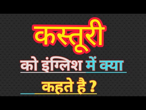 कस्तूरी का इंग्लिश मतलब || kasturi ka english meaning || musk meaning in hindi || word meaning