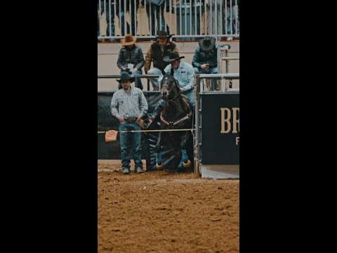 Dalton Massey 2025 American Rodeo Central Steer Wrestling Champion