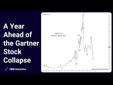 A Year Ahead of the Gartner Stock Collapse