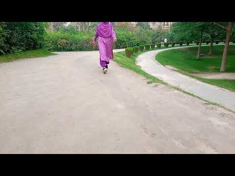 Brisk Walk with 2 kg Weights Urdu Hindi #youtubeshorts #shorts #Walk
