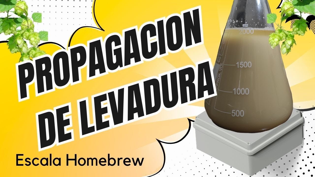 Como Propagar Levadura, Cerveza Artesanal Saga