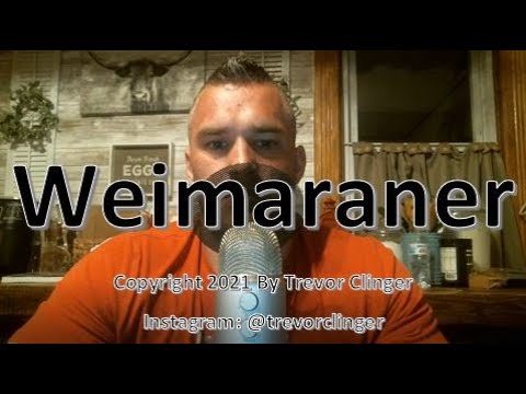 How To Say Weimaraner
