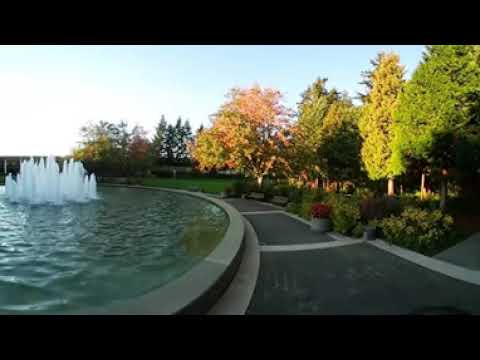 Walking through history: scenes from Microsoft Redmond campus (part 1, 360 video)